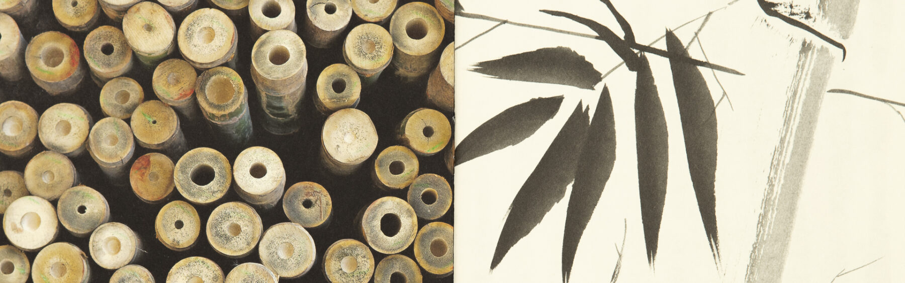 Tree Free - Graphic Specialities