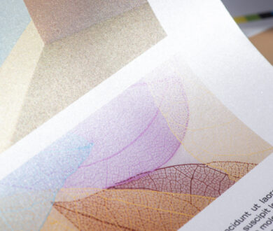 Home - English - FAVINI